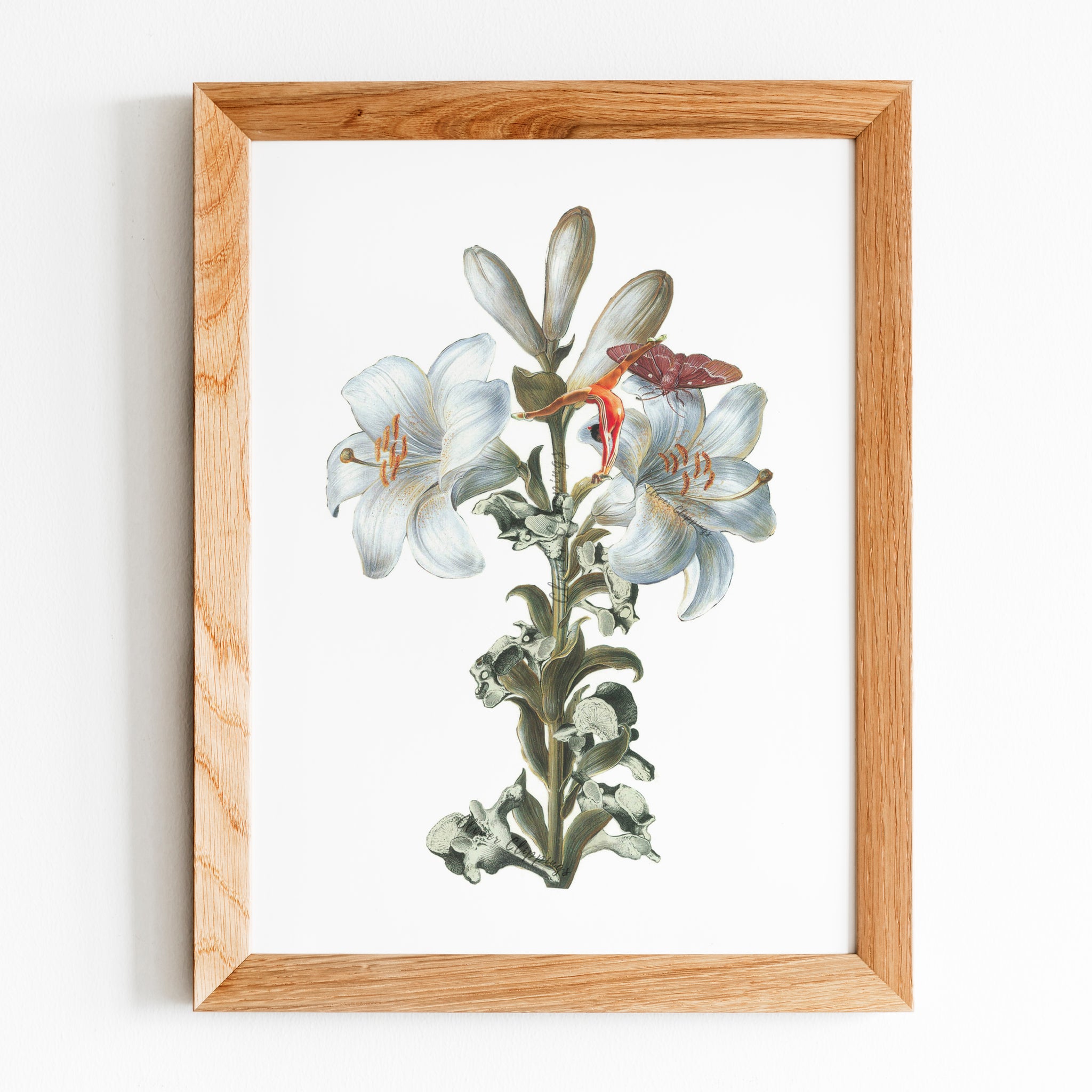 Handcut Collage Print - When Anatomy Meet Art: Vertebra – Clever Clippings